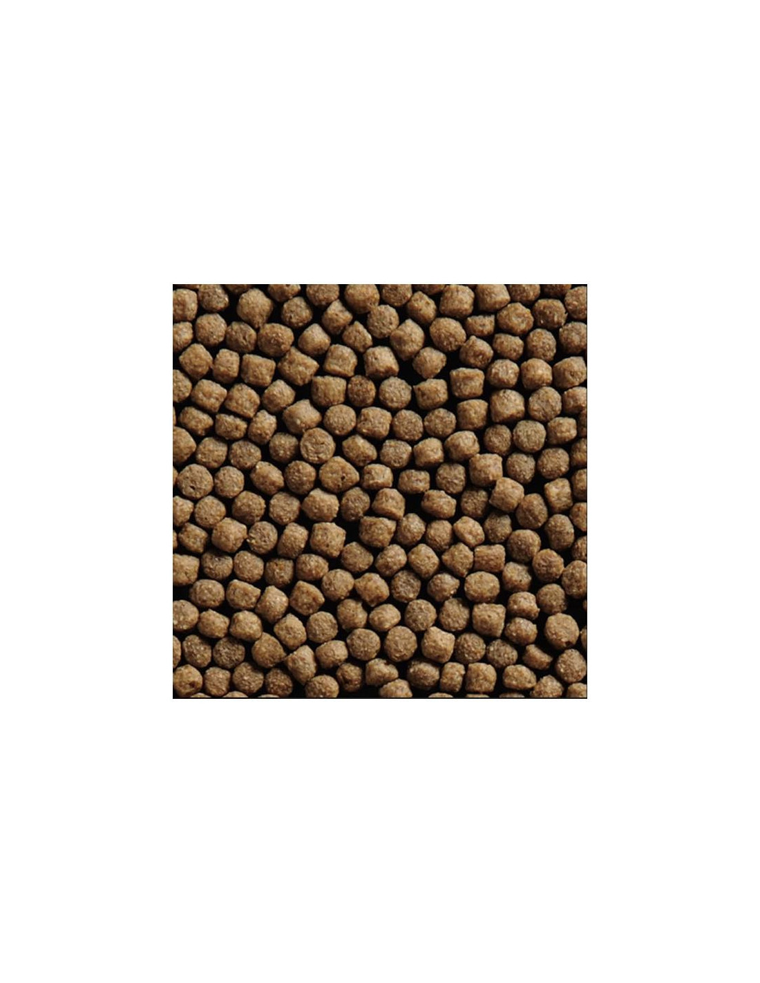 Alimento germen de trigo para peces de estanque. Bolsa 15kg grano 3mm